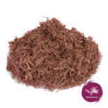 Home - Buy High Quality Mimosa Hostilis / MHRB - Mimosaroot.com